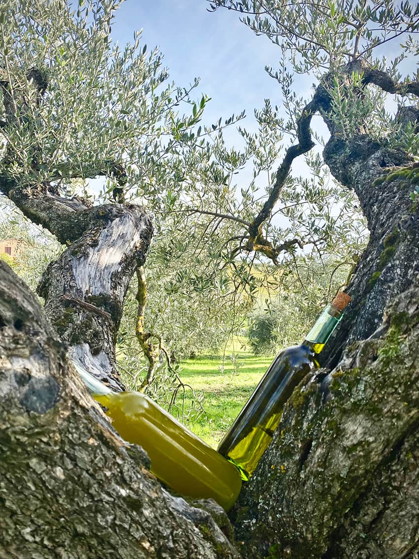 Metina – Your Tuscan hideaway - Agriturismo Metina Tuscany